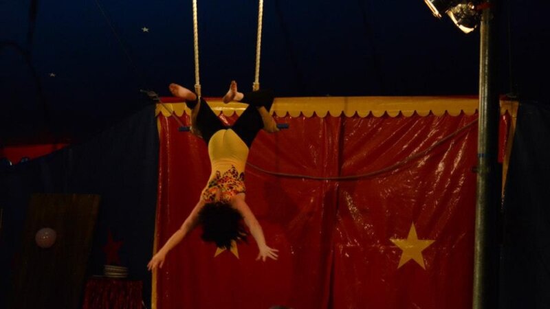 Circus Ferrel | CIRCUSynergy