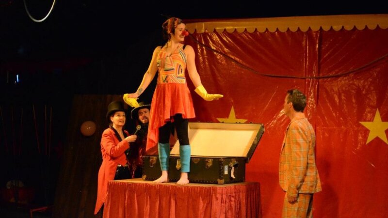 Circus Ferrel | CIRCUSynergy