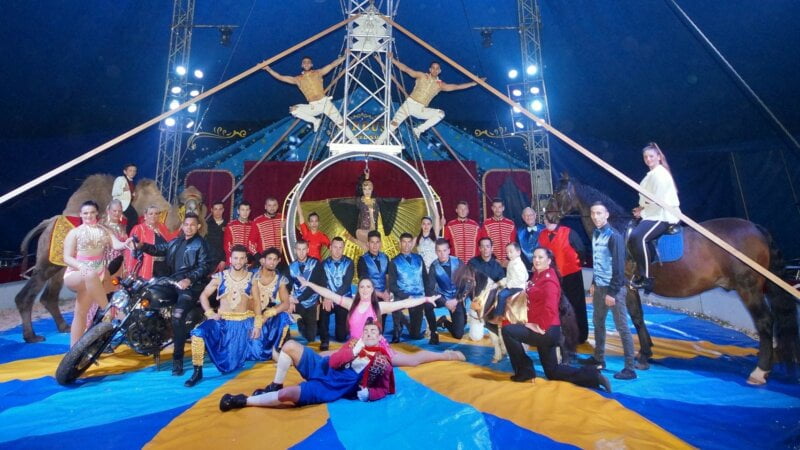 Circus Mondao | CIRCUSynergy