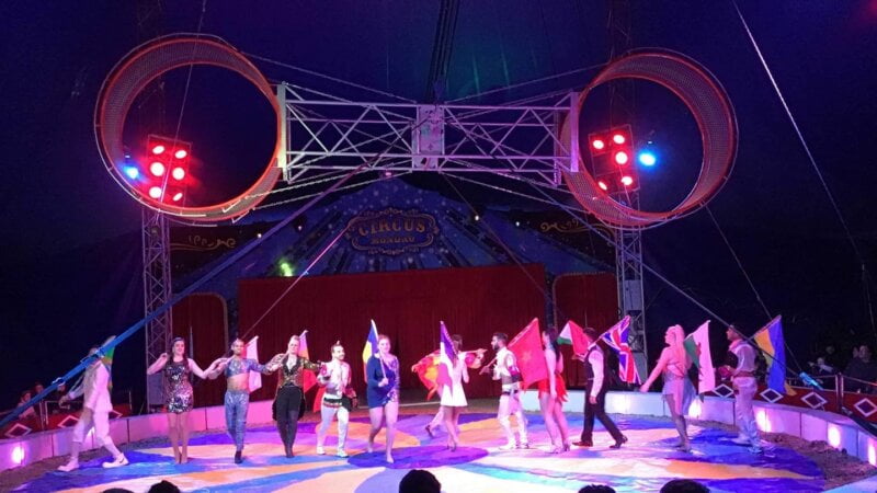 Circus Mondao | CIRCUSynergy