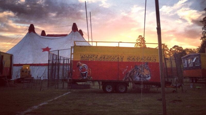 McLaren Circus | CIRCUSynergy