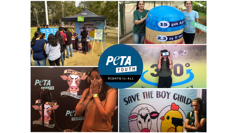 People for the Ethical Treatment of Animals (PETA) - CIRCUSynergy